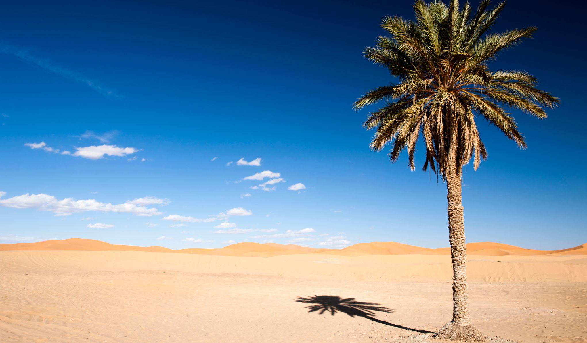 10 zanimljivih činjenica o pustinji Sahara - Uradi to za sebe